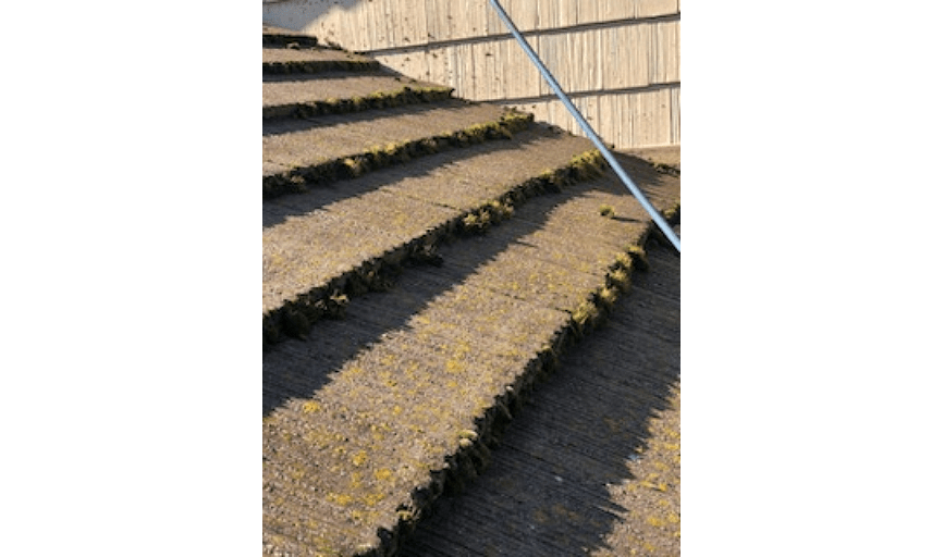 Apex Pressure Washing and Cleaning Solutions Offers Moss Removal in ...